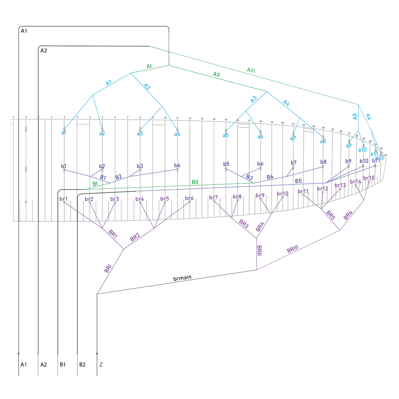 Bridle line set for SONIC RACE - Rev1 | Line sets | Kite Spares | Spare ...