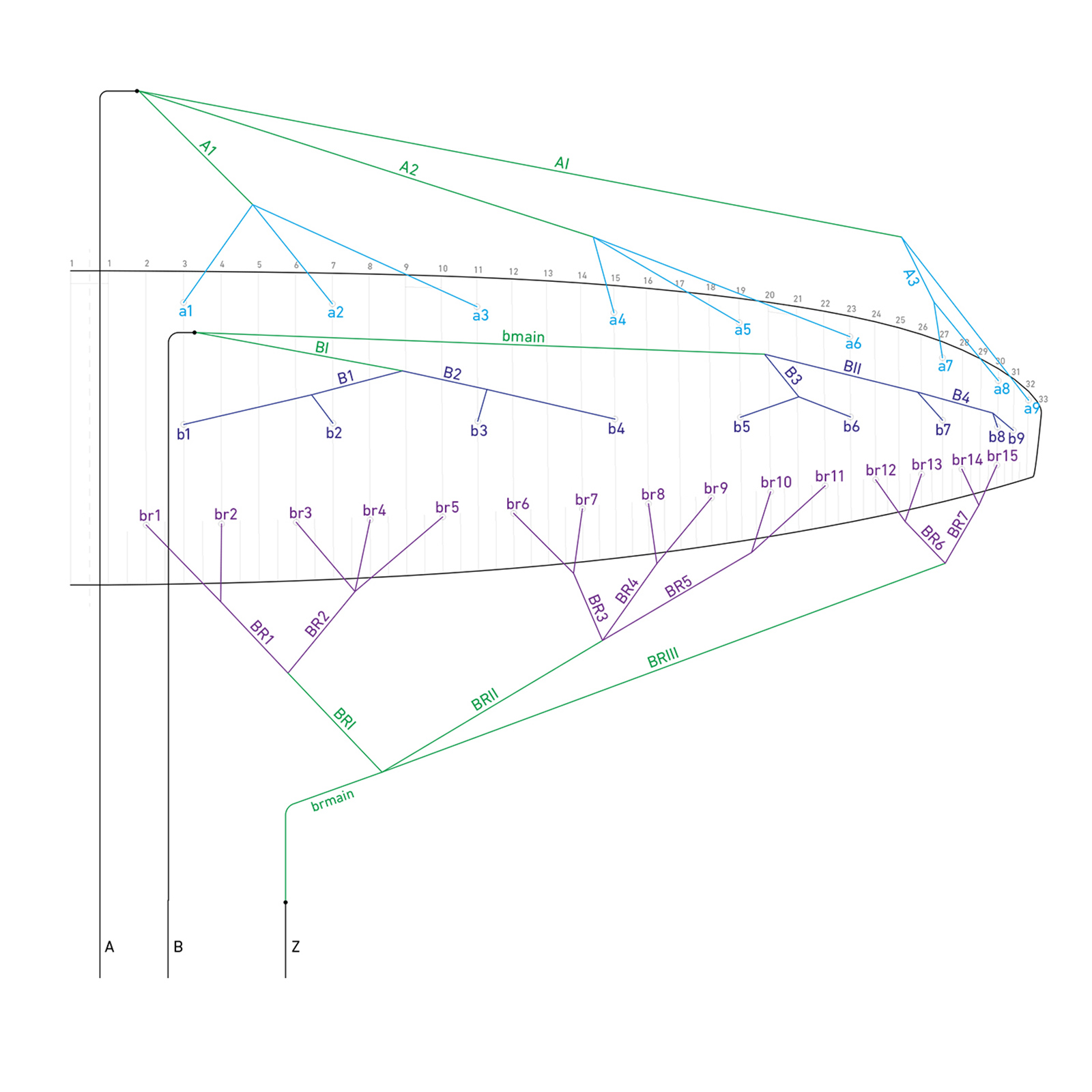 Galerieleinensatz für SONIC RACE VMG | Leinensätze | Kite Ersatzteile | Ersatzteile | FLYSURFER